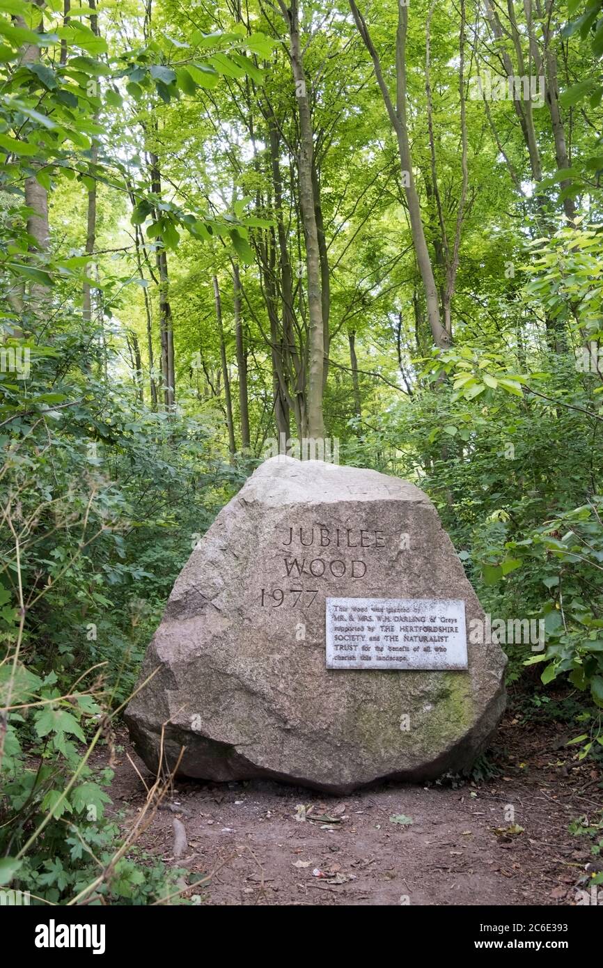 The Jubilee Wood Stone, Therfield Heath, Royston, Hertfordshire Stock ...