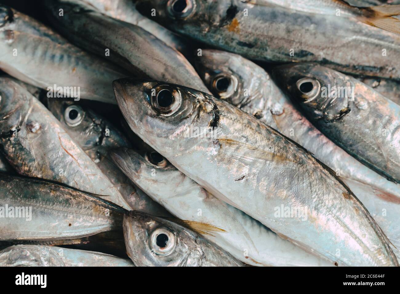 Fresh fish in market on dark background Stock Photo - Alamy