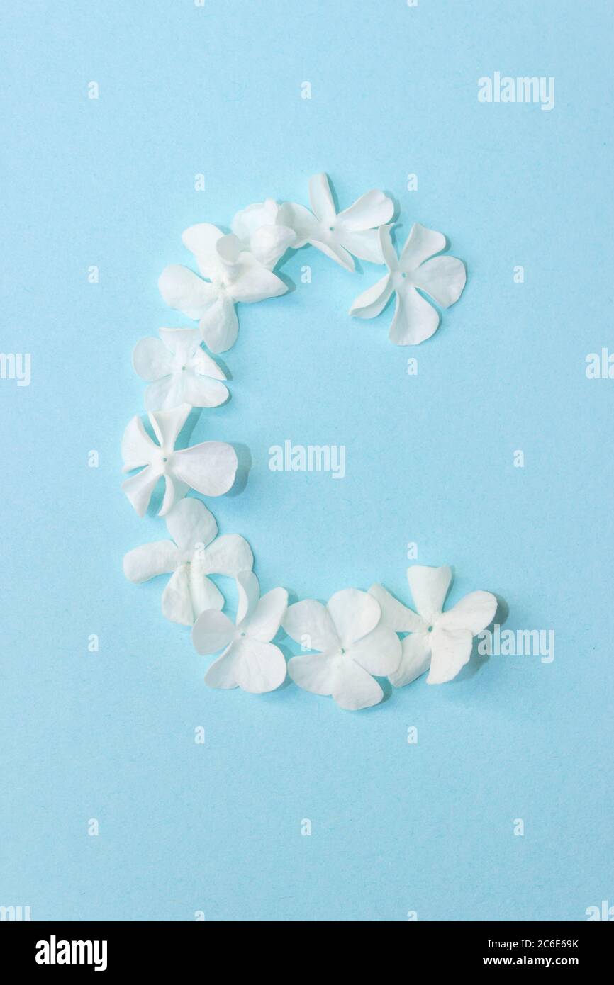 Flower Alphabet - C. Letter made from live flowers on light blue ...