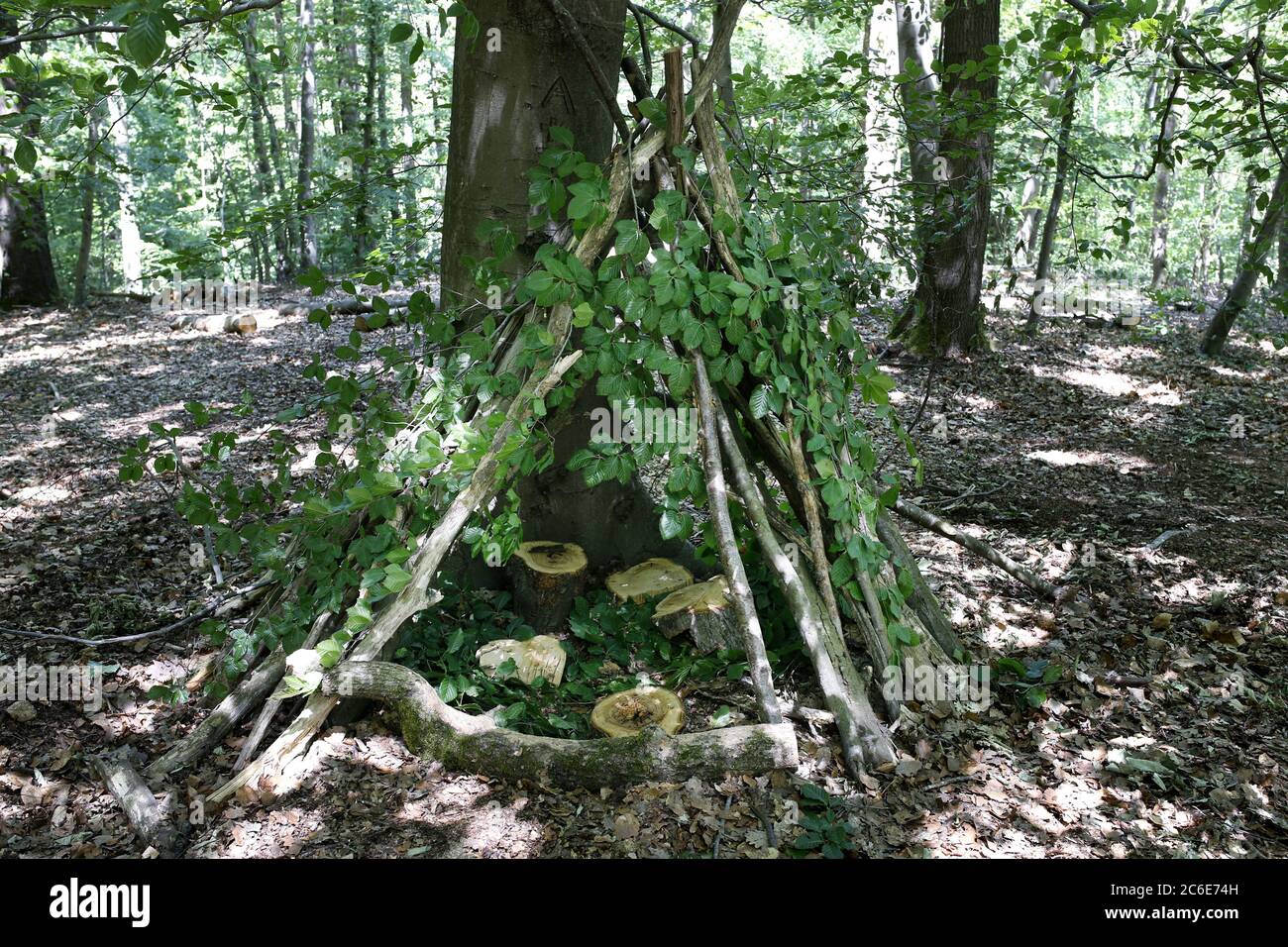 Children Hut in Forest - Meudon la Forêt - France Stock Photo - Alamy