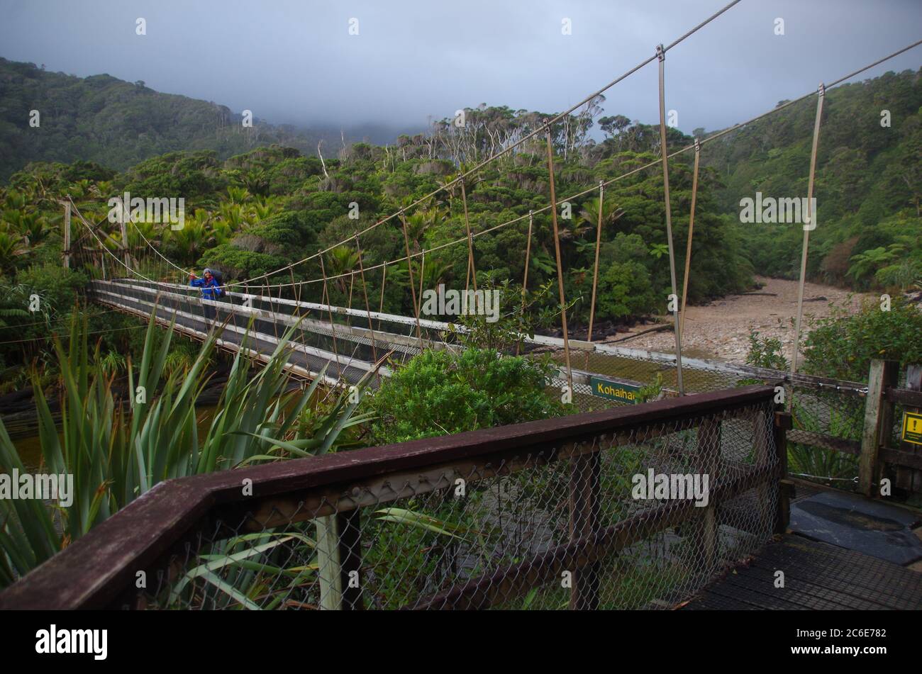 Swing bridge. Heaphy track Great Walks. Alternative Te Araroa Trail ...
