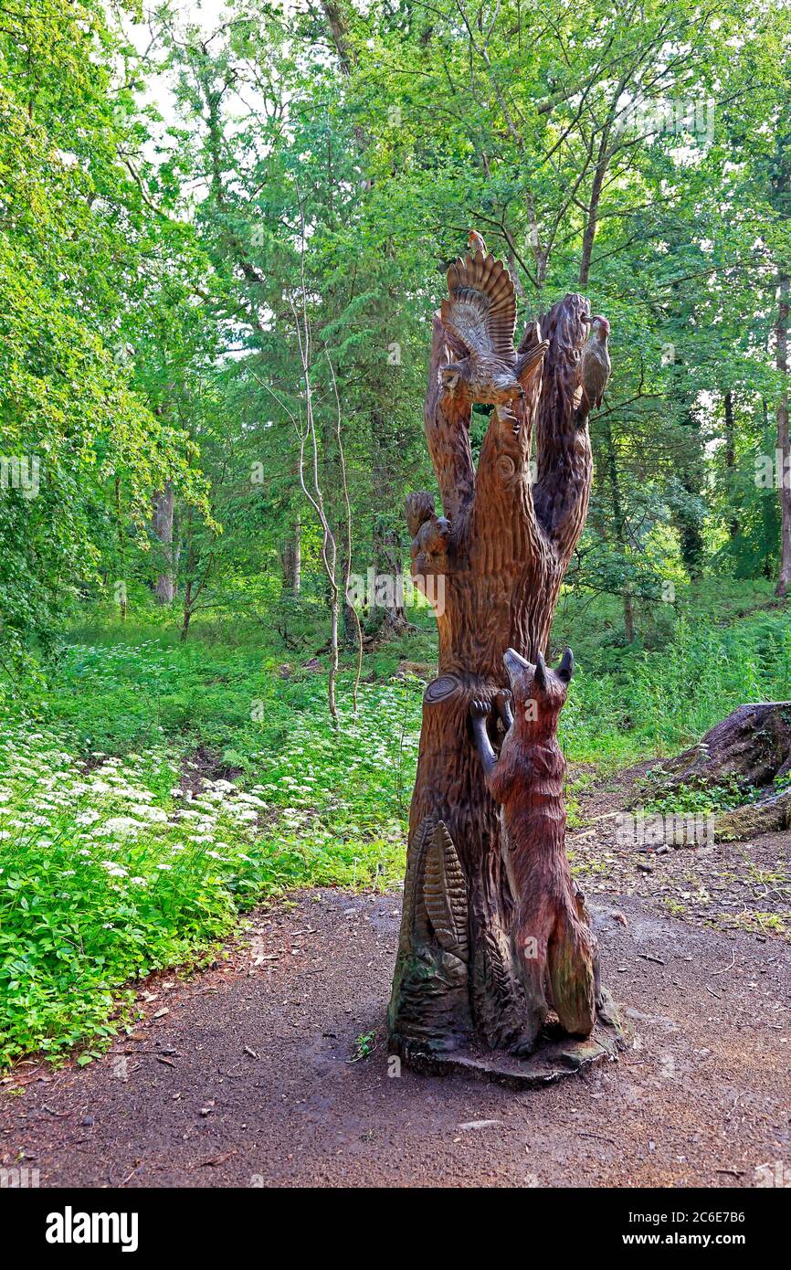 Wood carving of British animals in Cyfarthfa Park Stock Photo - Alamy