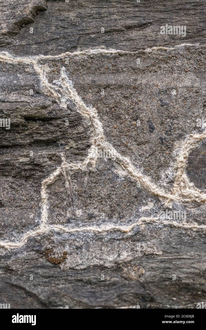 Stone Wall Staining High Resolution Stock Photography and Images - Alamy