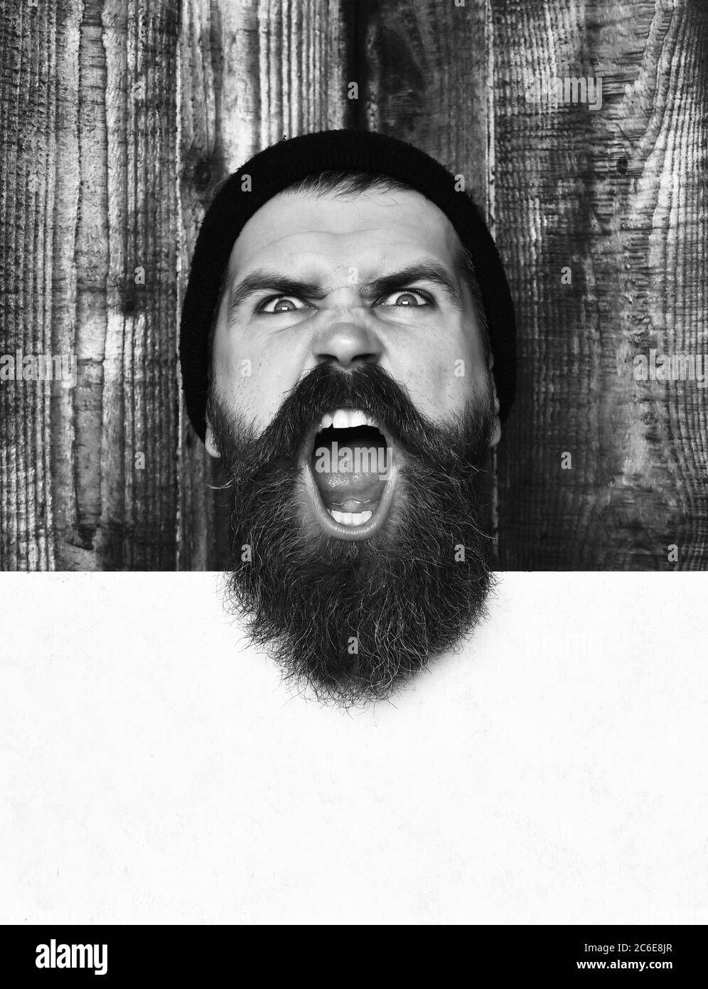 Bearded man, long beard. Brutal caucasian angry shouting unshaven ...