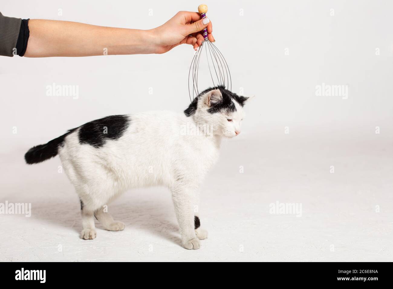 Nervous technique hi-res stock photography and images - Alamy