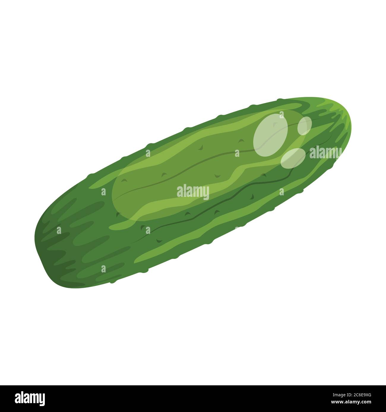 Cartoon fresh organic green cucumber icon. vector illustration Stock ...
