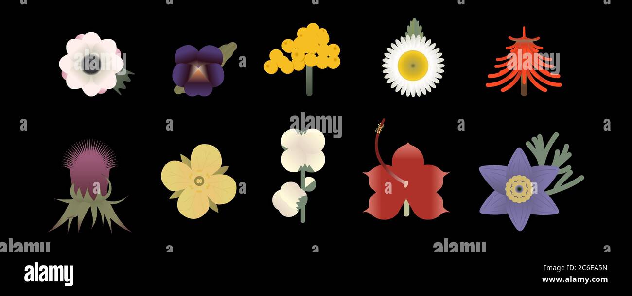 Bundle of blooming flowers on black background. Collection of elegant ...