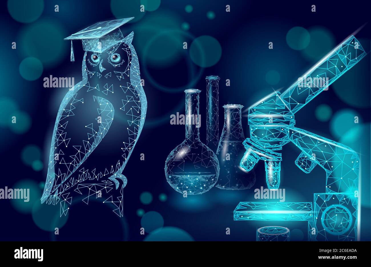 Owl bird symbol of wise education. E-learning distance concept ...