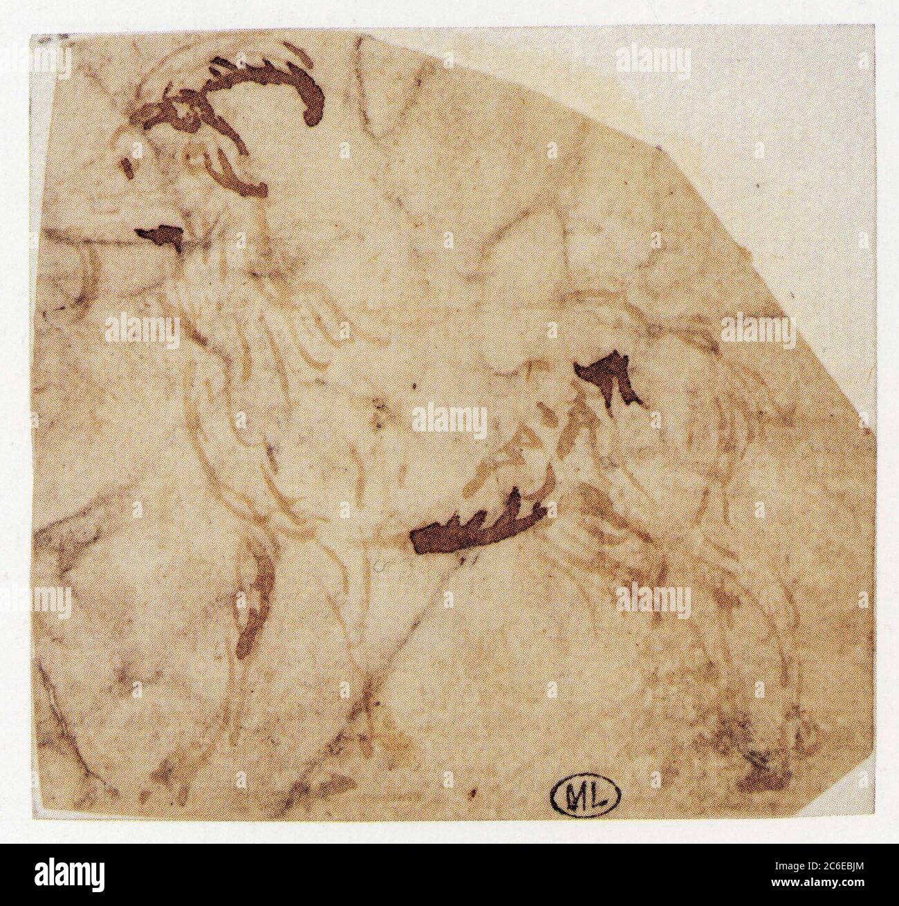 Leonardo da Vinci. Study of a goat Stock Photo - Alamy