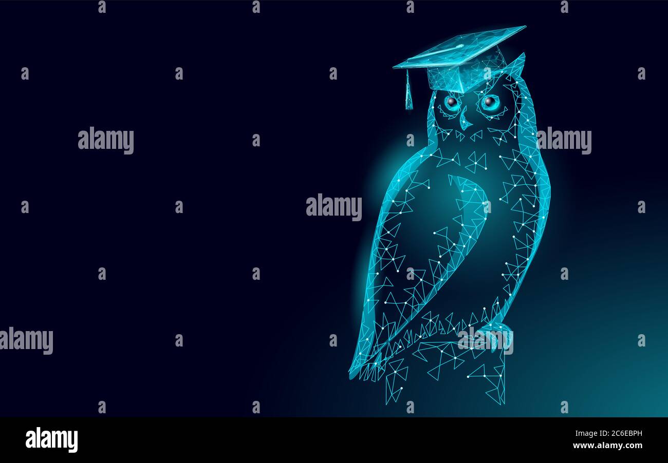 Owl cartoon graduation cap diploma hi-res stock photography and images ...