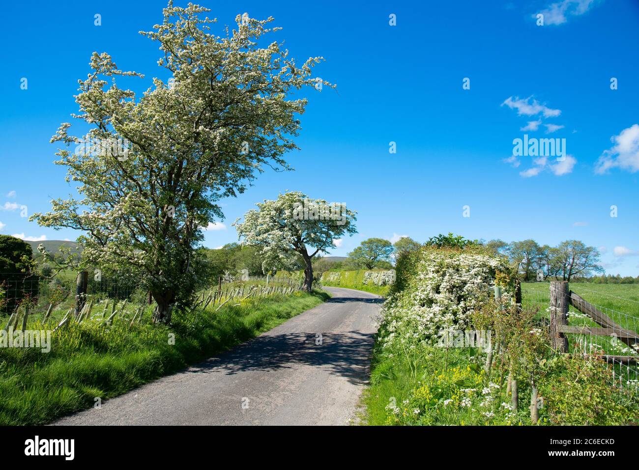 Whitewell road hi-res stock photography and images - Alamy