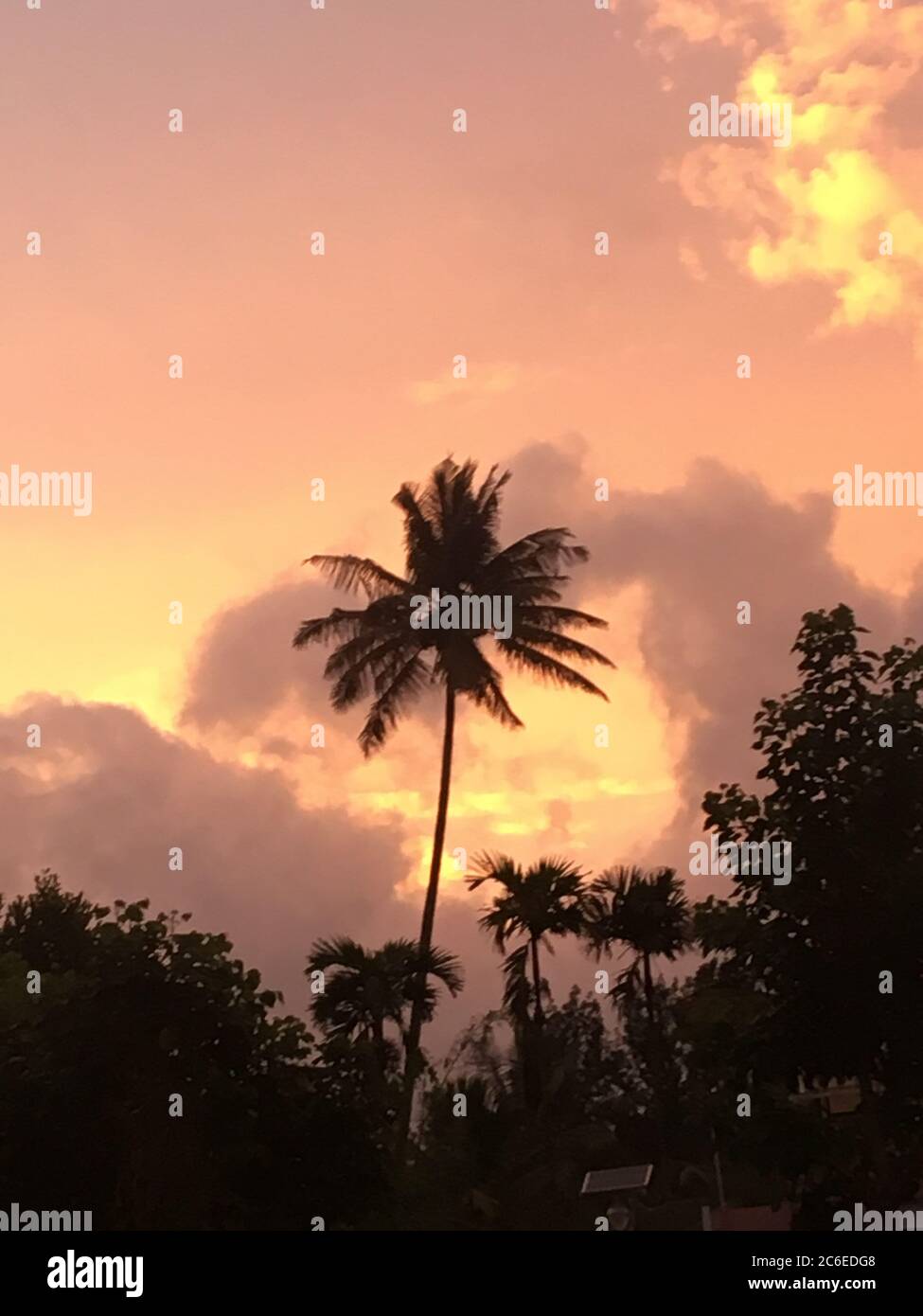 Tree sunset pictures hi-res stock photography and images - Alamy