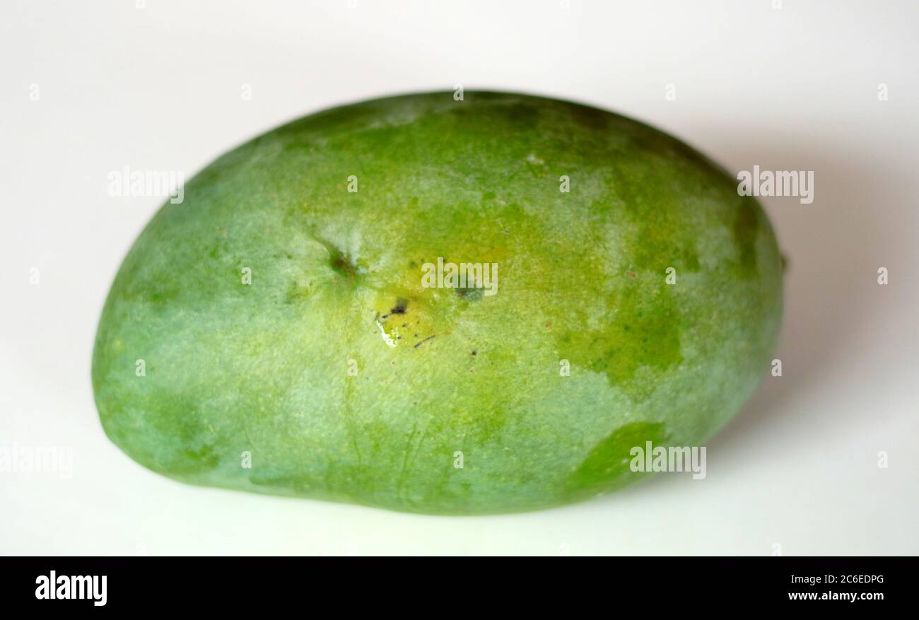 Mangga Gajah (literally means Elephant Mango) . Variety of Manalagi ...