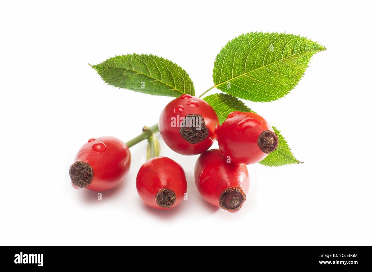 Meadow fruit Cut Out Stock Images & Pictures - Alamy