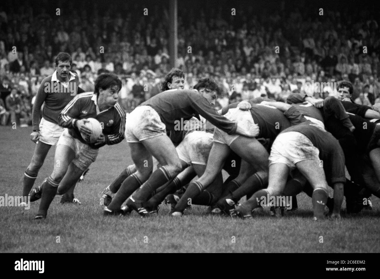 Wales rugby 1980s hi-res stock photography and images - Alamy