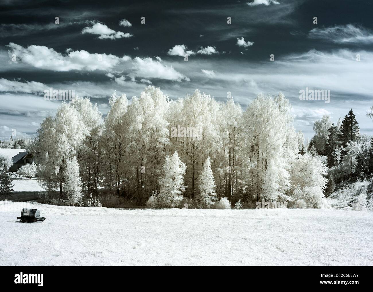 Infrared photography. surreal landscape, beautiful trees, our beautiful ...