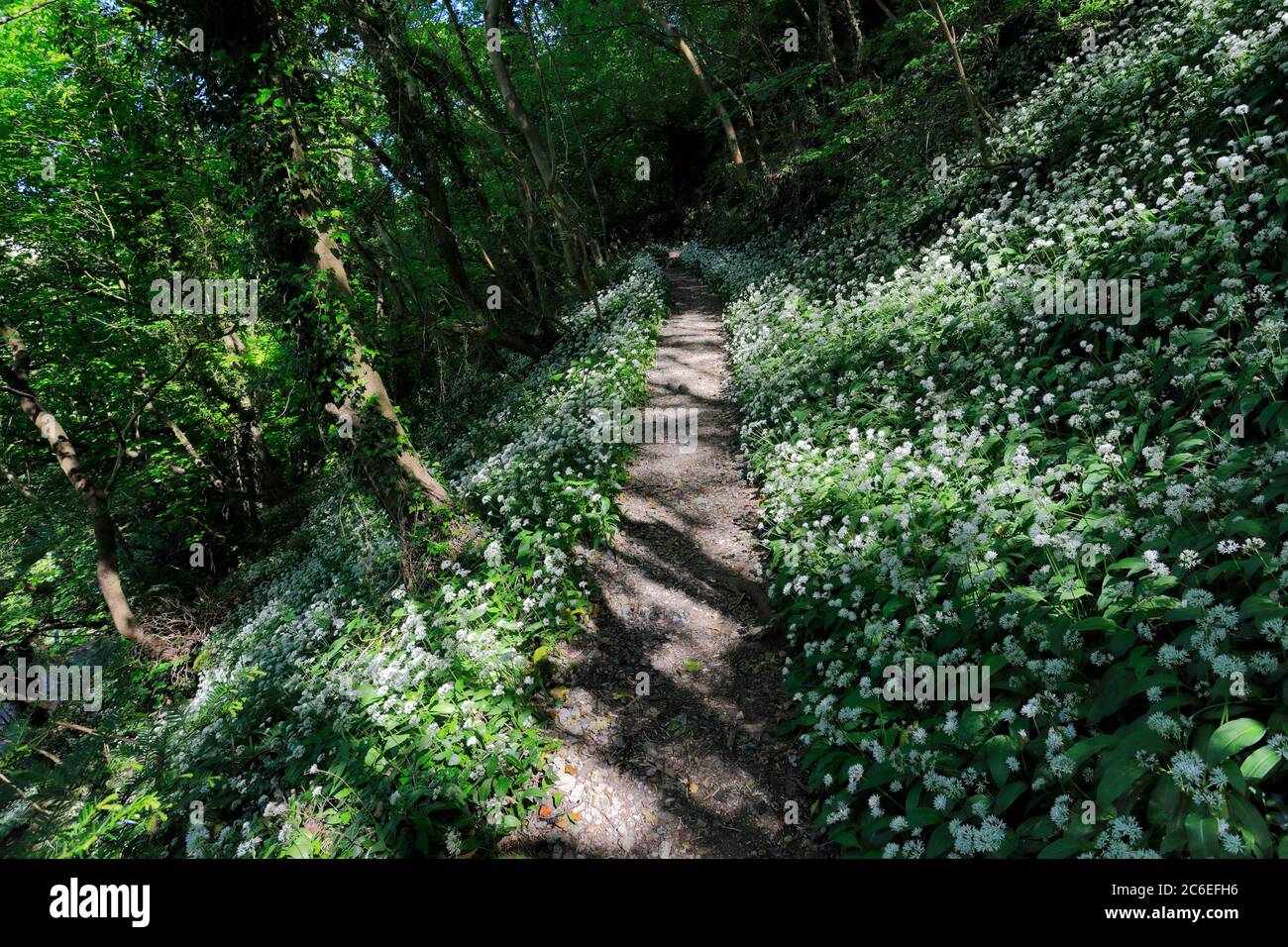The Lovers Walks, Matlock Bath town, river Derwent, Peak District ...