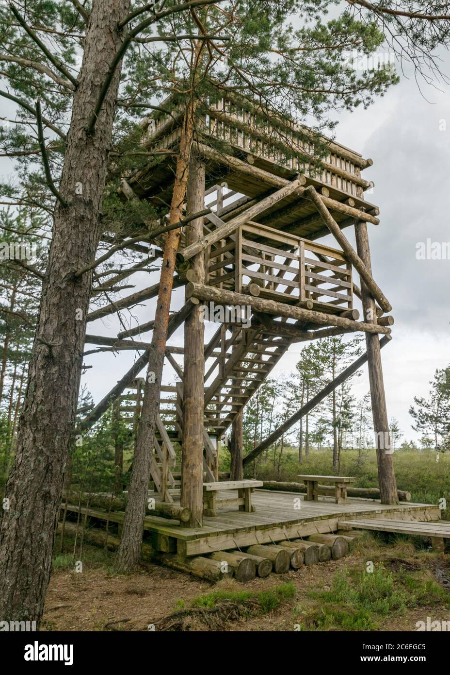 landscape with a wooden construction tower in the middle of the bog ...