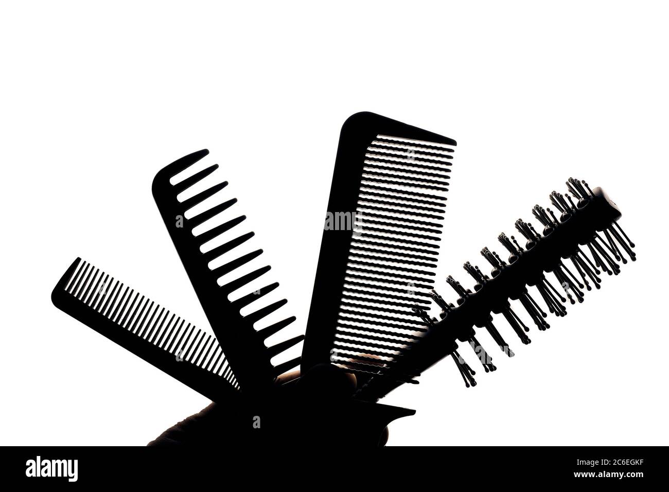 A set of combs is isolated on a white background in the form of a ...