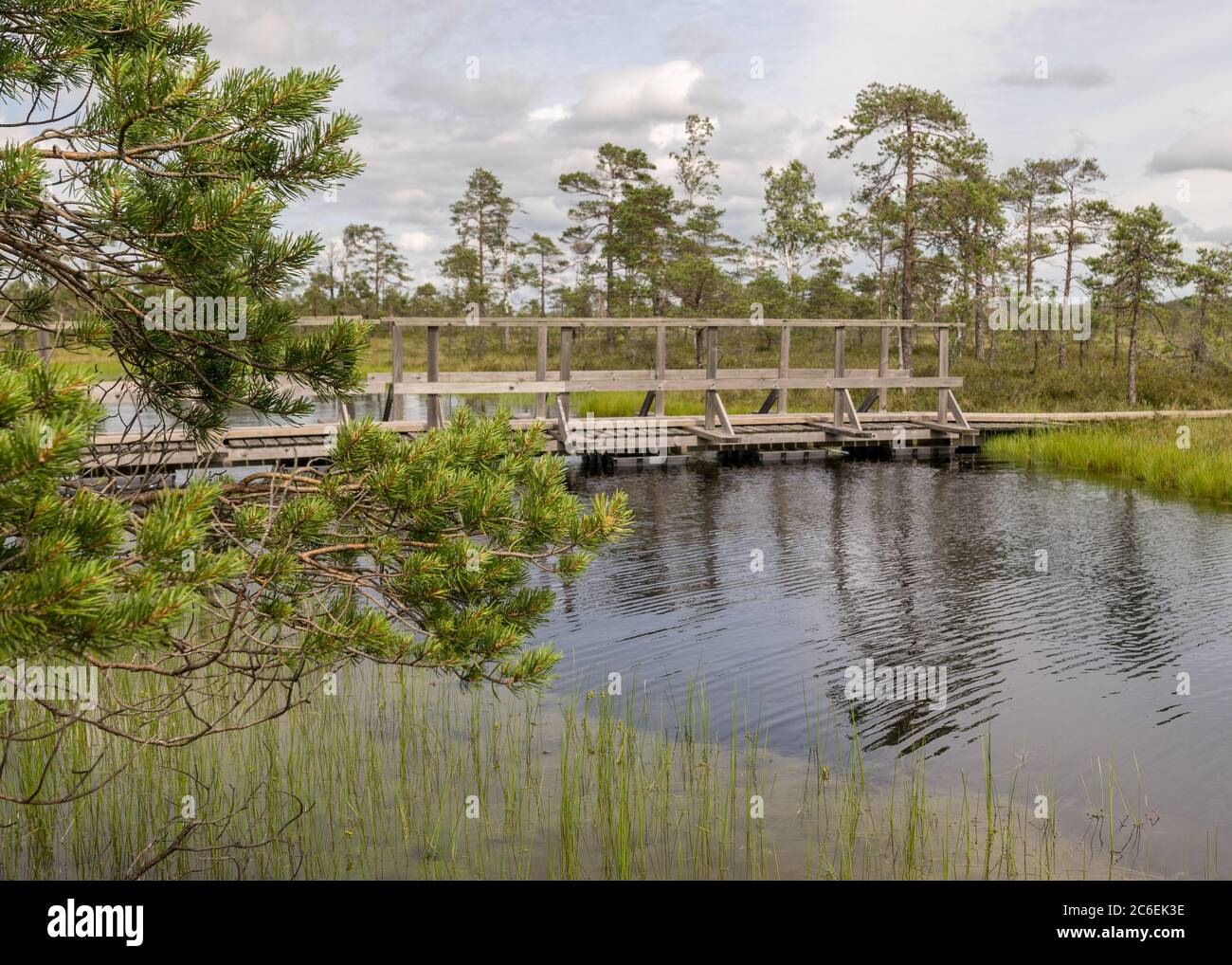 landscape with a wooden construction walking bridge in the middle of ...