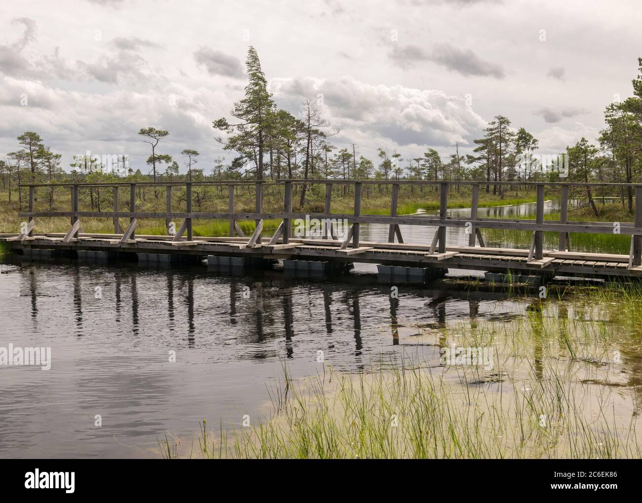 landscape with a wooden construction walking bridge in the middle of ...