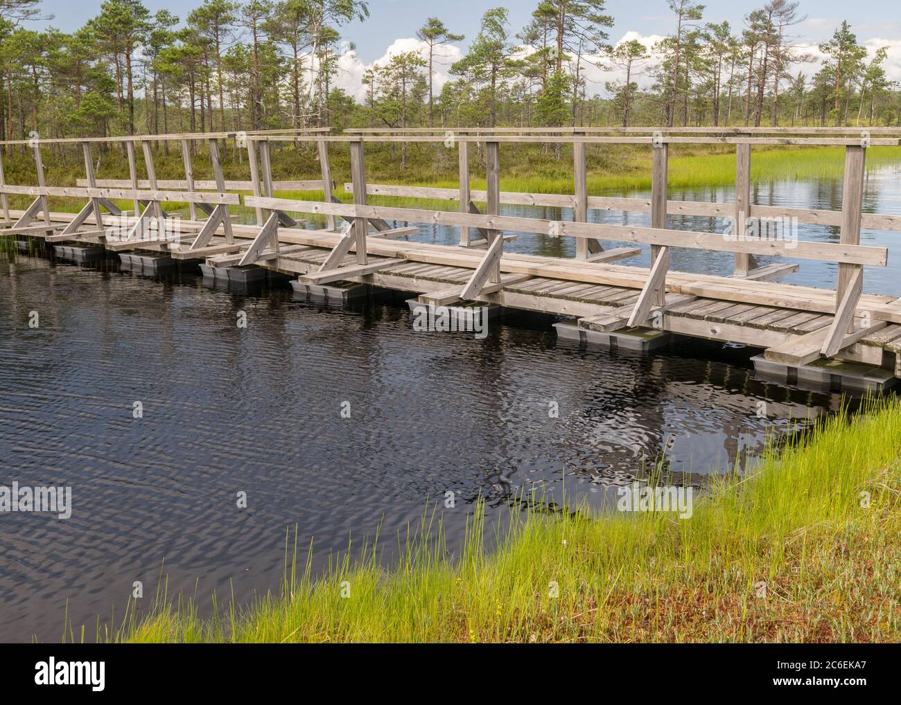 landscape with a wooden construction walking bridge in the middle of ...