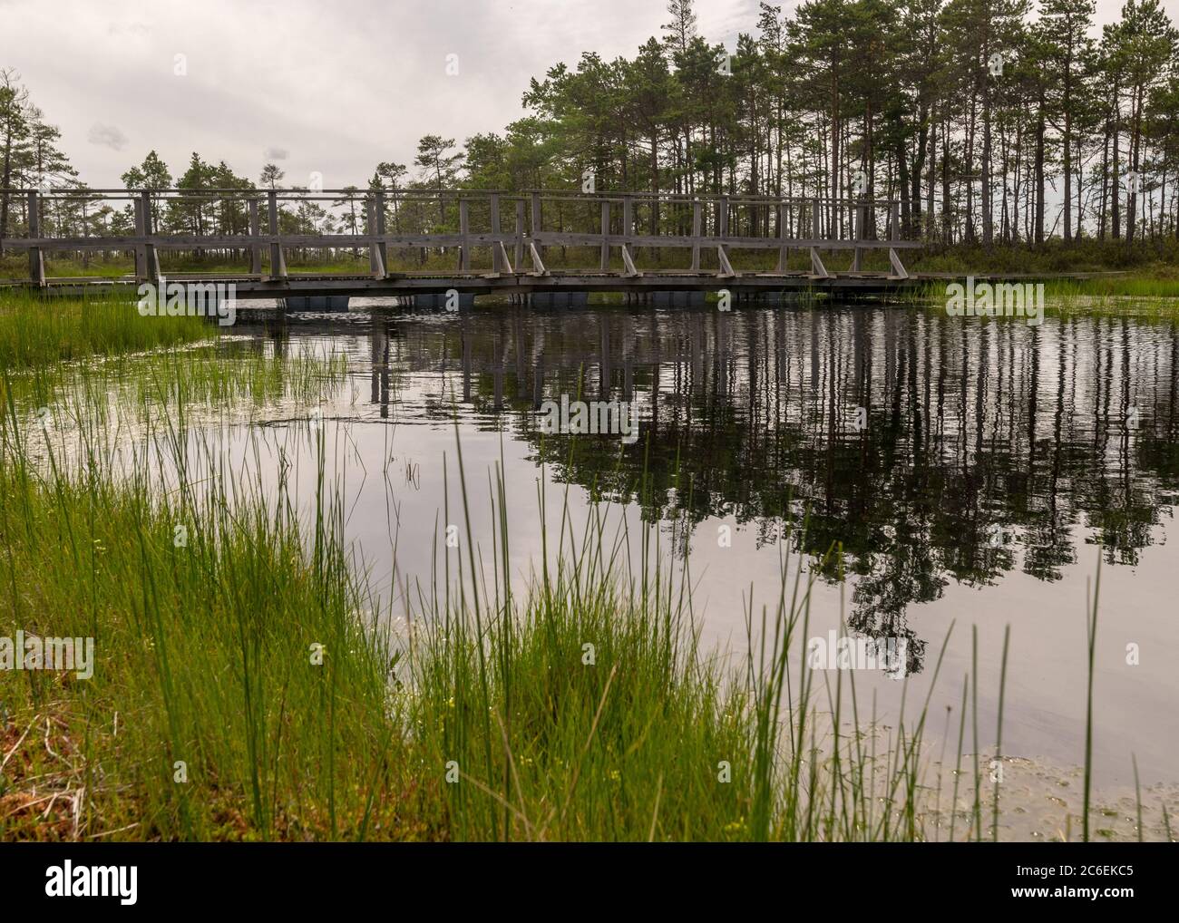 landscape with a wooden construction walking bridge in the middle of ...