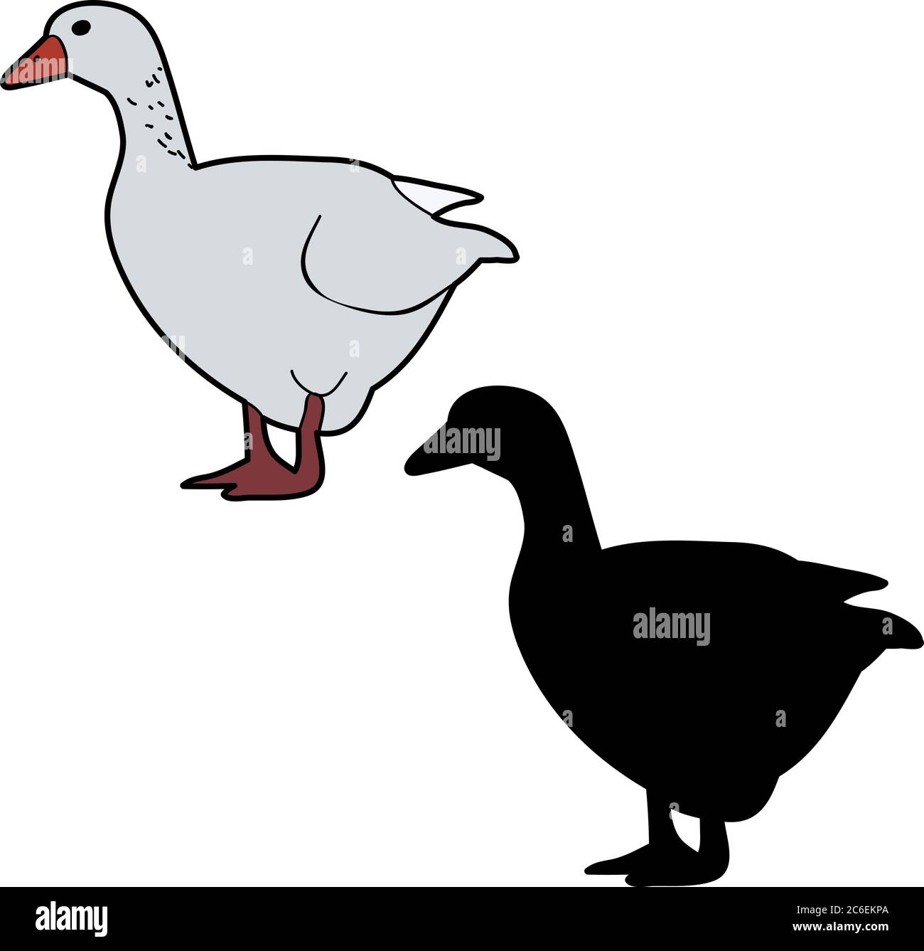vector, isolated duck, goose Stock Vector Image & Art - Alamy