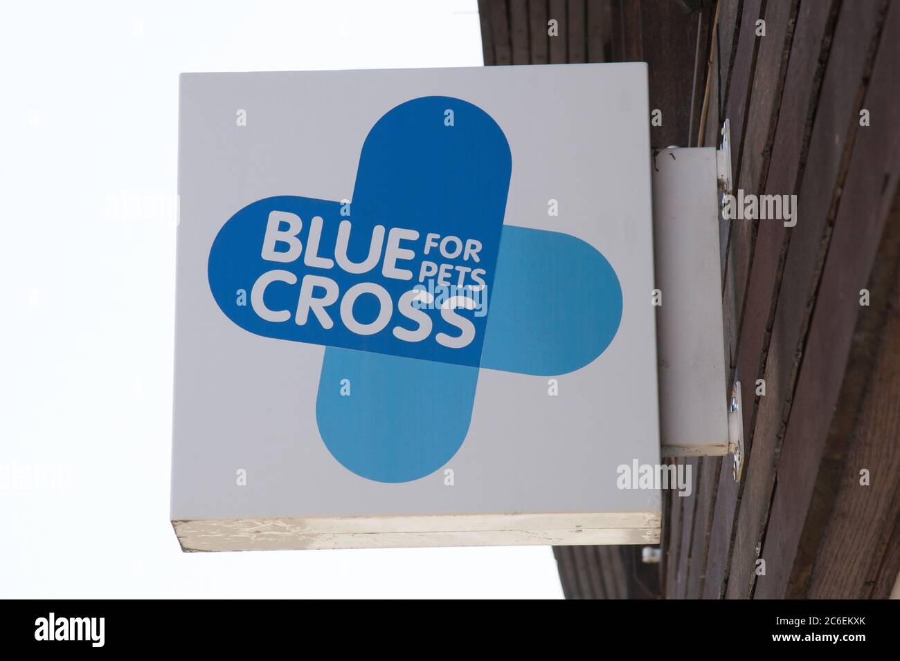 Blue Cross Charity Pets