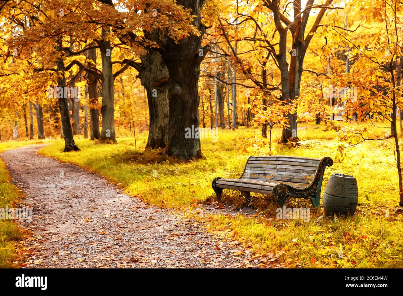 Wooden bench under oak tree hi-res stock photography and images - Alamy