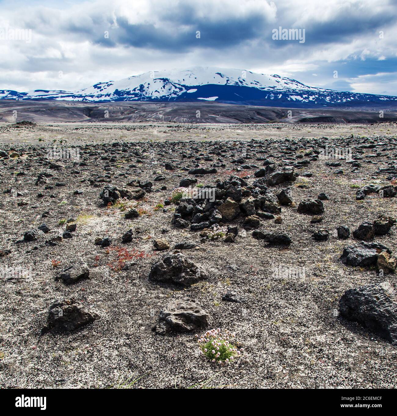 Stone and ash wasteland - volcanic landscape Stock Photo - Alamy