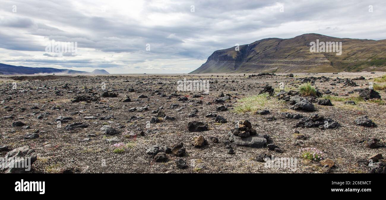 Northern white ash hi-res stock photography and images - Alamy