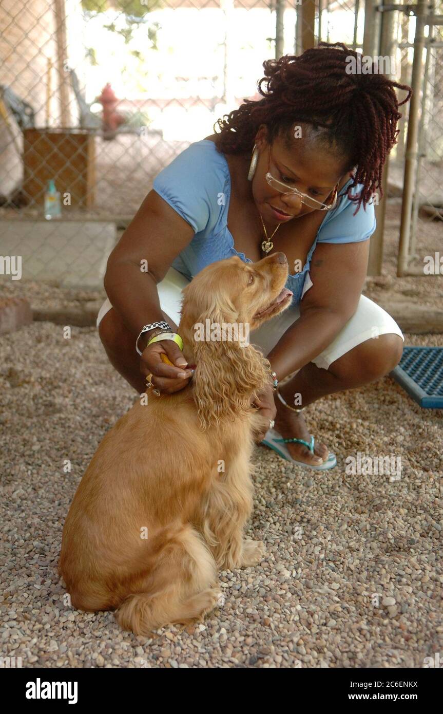 Austin, Texas USA, September 13, 2005: A Hurricane Katrina evacuee from ...