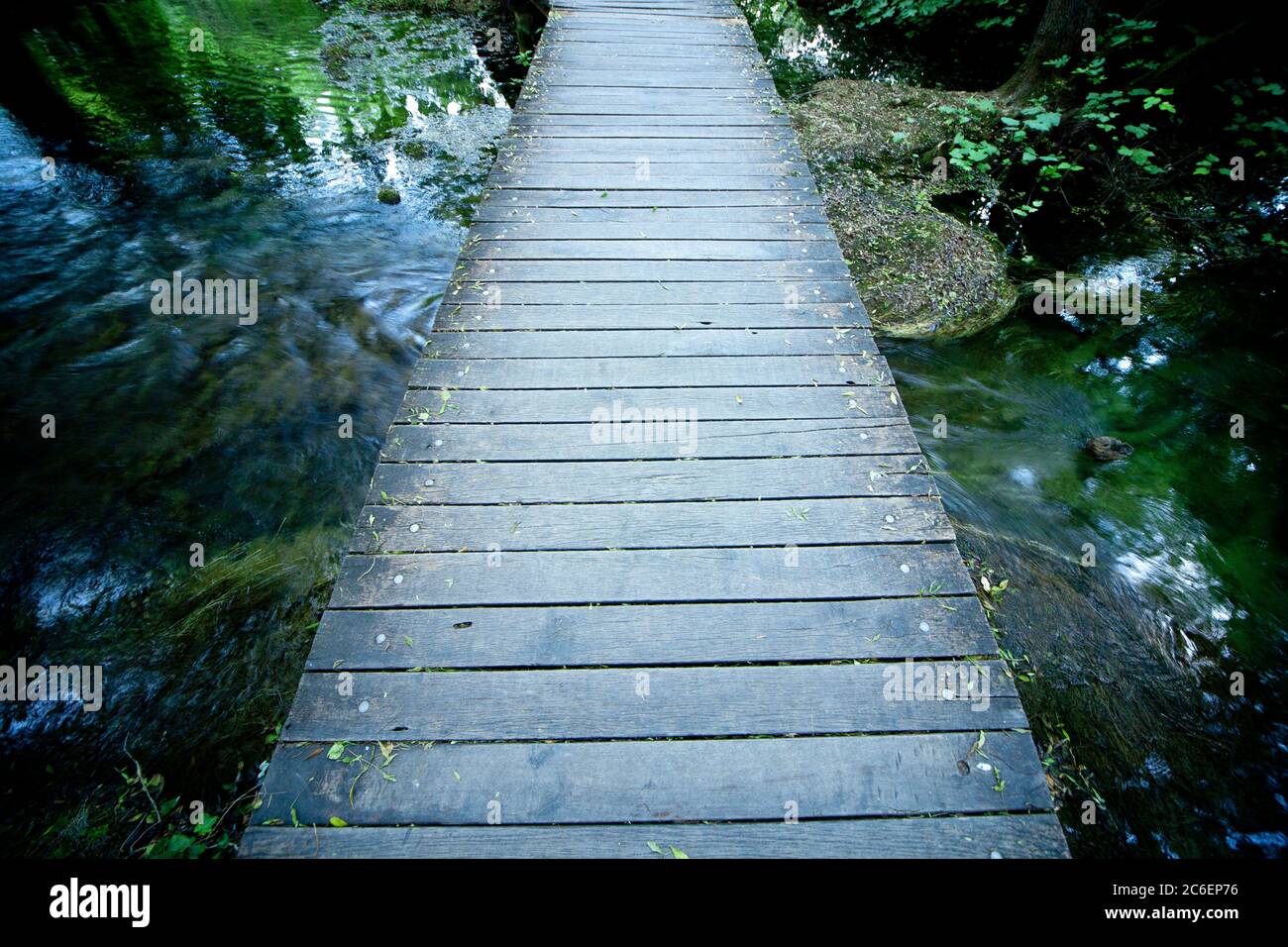 Forest path wooden deck Stock Photo - Alamy