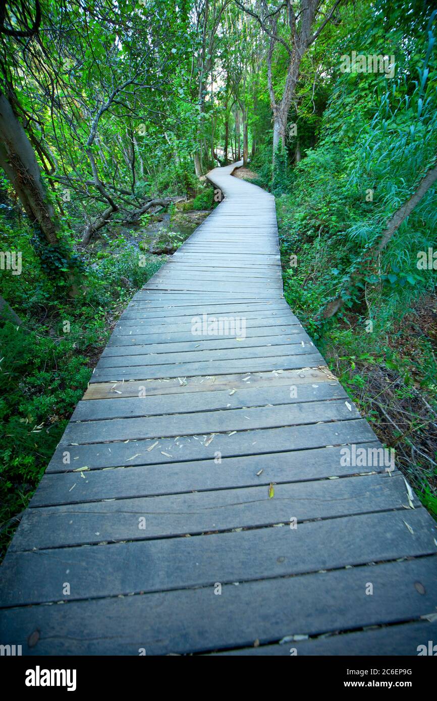 Forest path wooden deck Stock Photo - Alamy