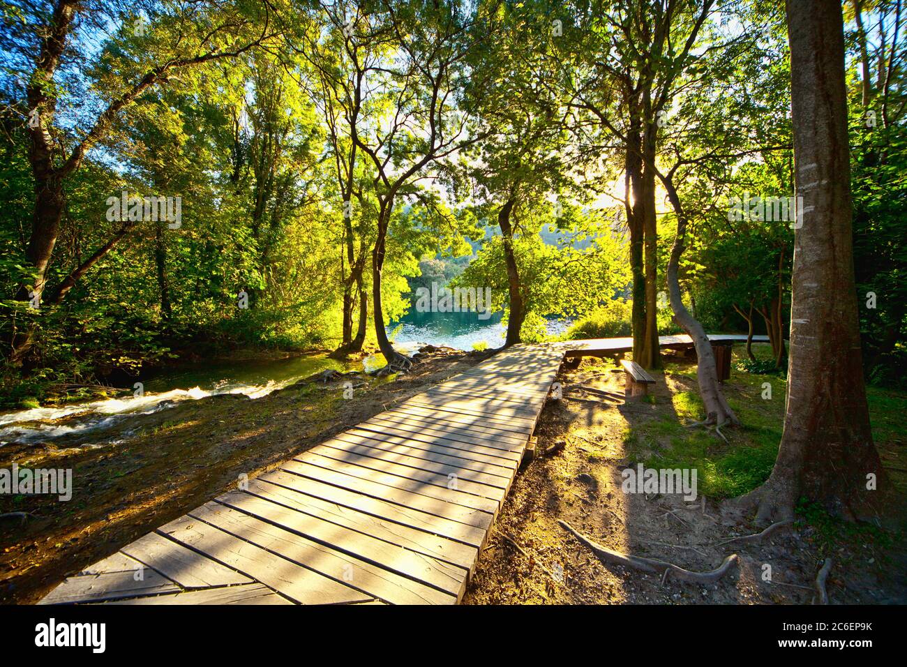 Sunny forest path hi-res stock photography and images - Alamy