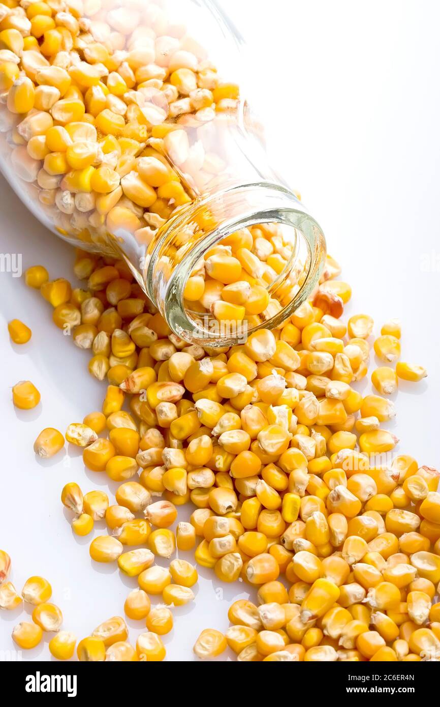 corn seeds in a glass jar Stock Photo - Alamy