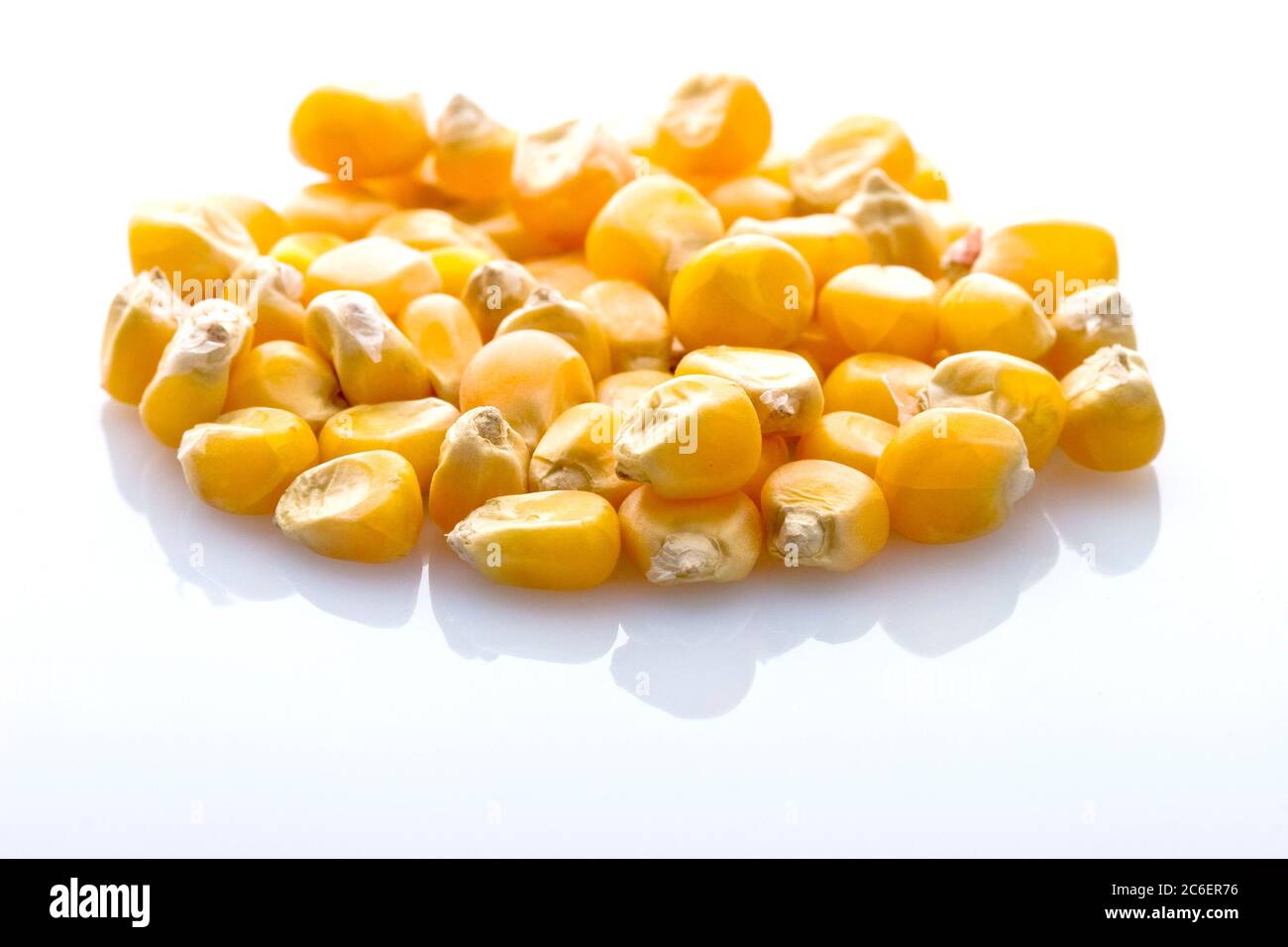 Corn seeds isolated on white Stock Photo - Alamy