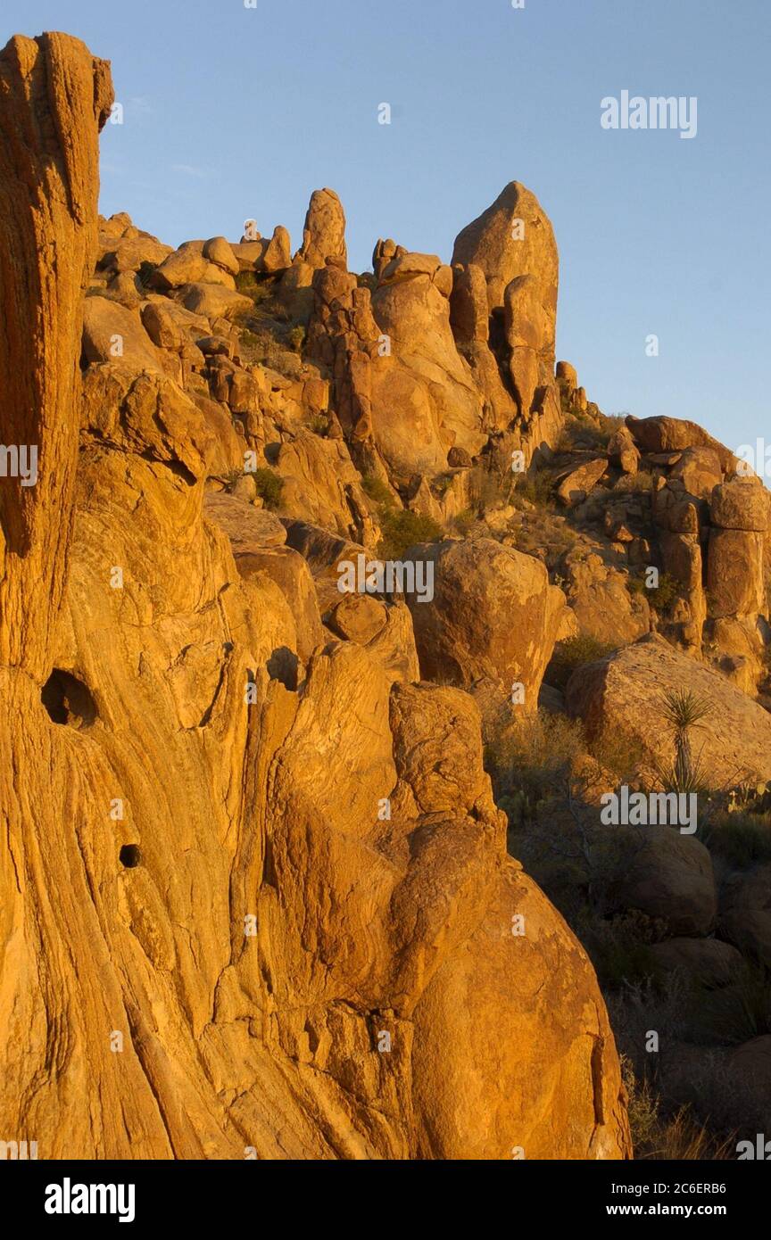Big Bend National Park, Texas USA, 17MAR05: Early morning sun ...
