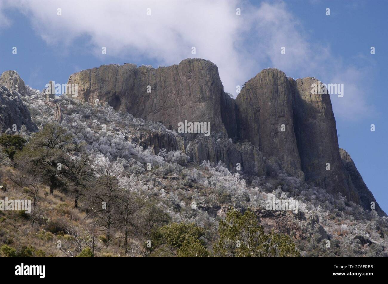 Big Bend National Park, Texas March 2005: An early spring ice storm ...