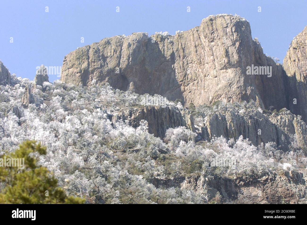 Big Bend National Park, Texas USA, March 2005: An early spring ice ...