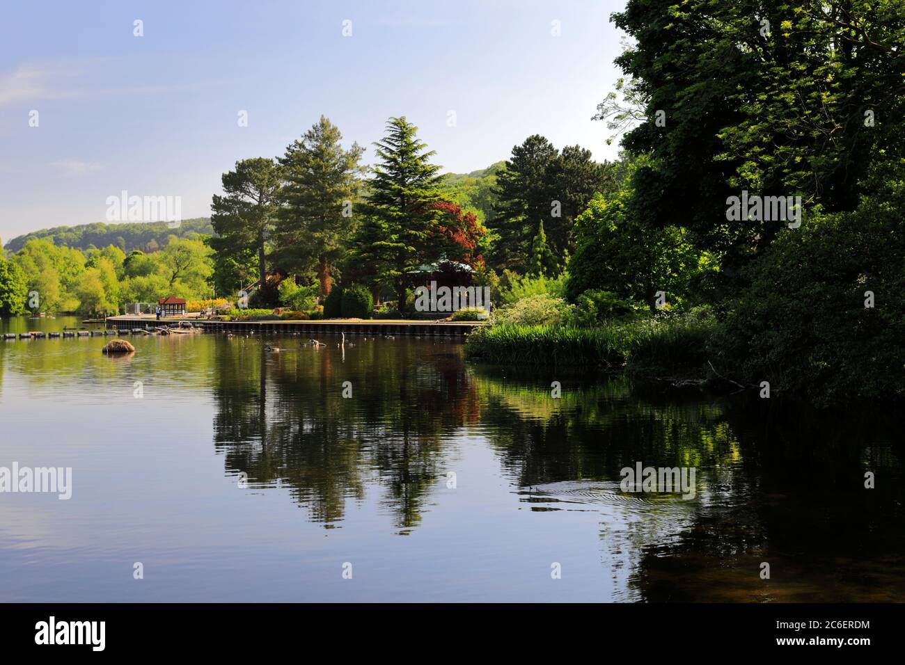 Spring view of the River Gardens, river Derwent, Belper town, Amber ...