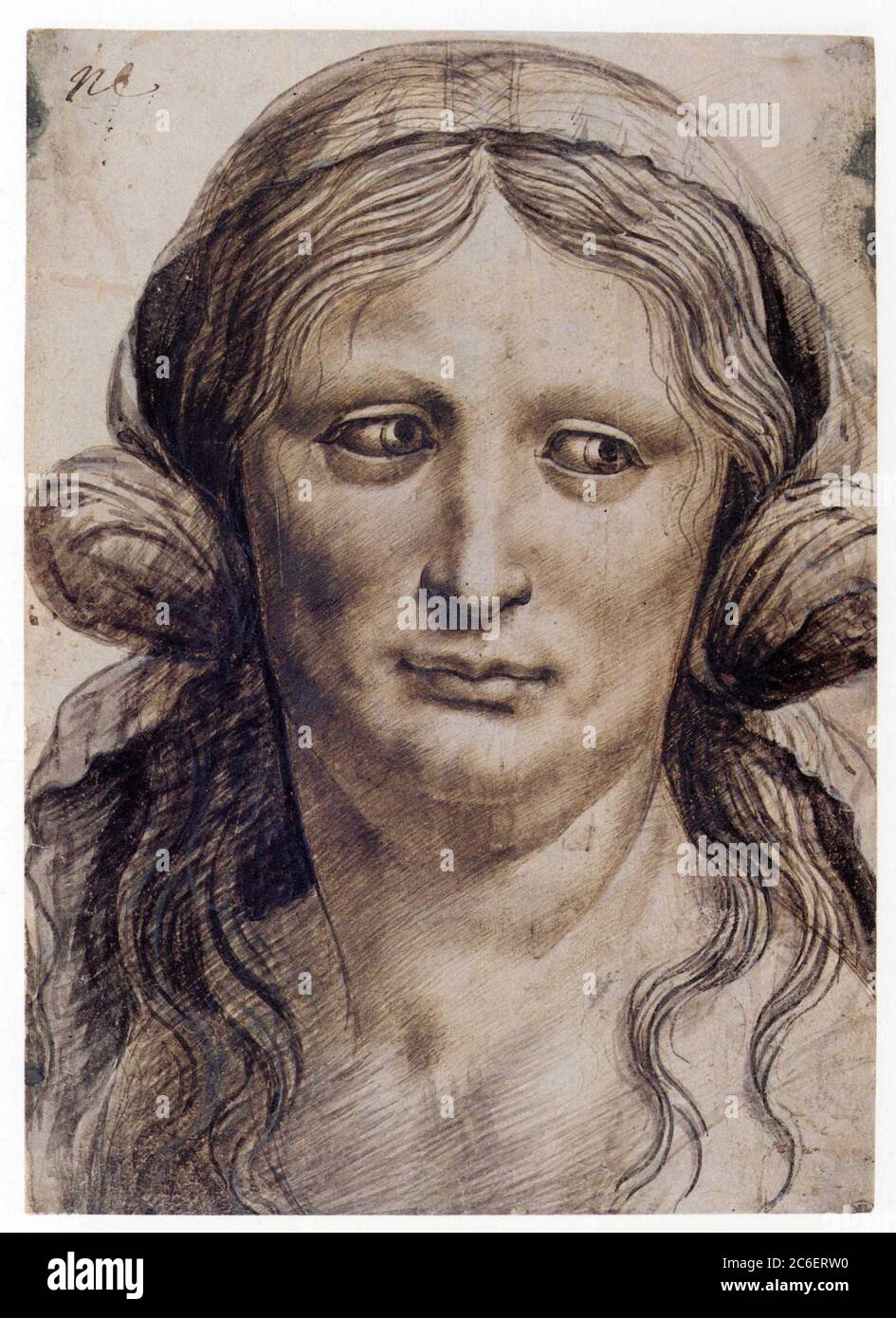 MASTER OF THE PALA SFORZESCA. PORTRAIT OF A WOMAN SEEN FRONTALLY Stock ...