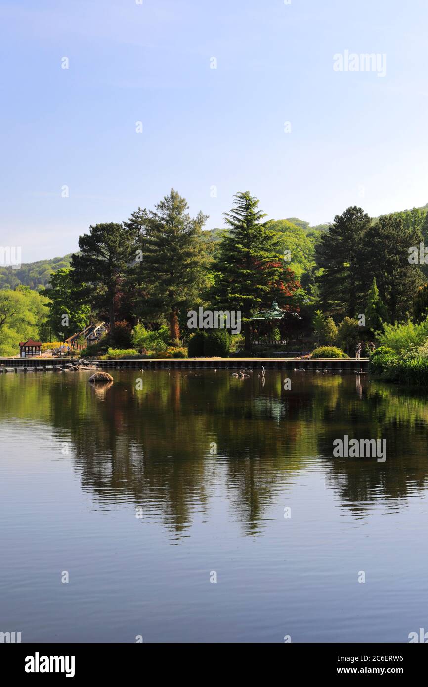 Spring view of the River Gardens, river Derwent, Belper town, Amber ...