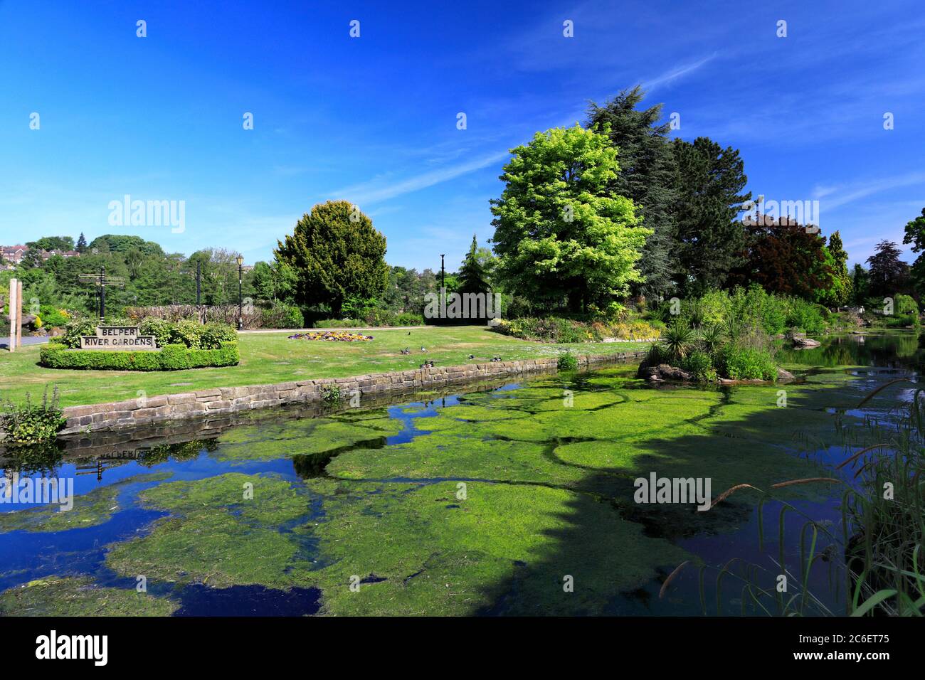 Spring view of the River Gardens, river Derwent, Belper town, Amber ...