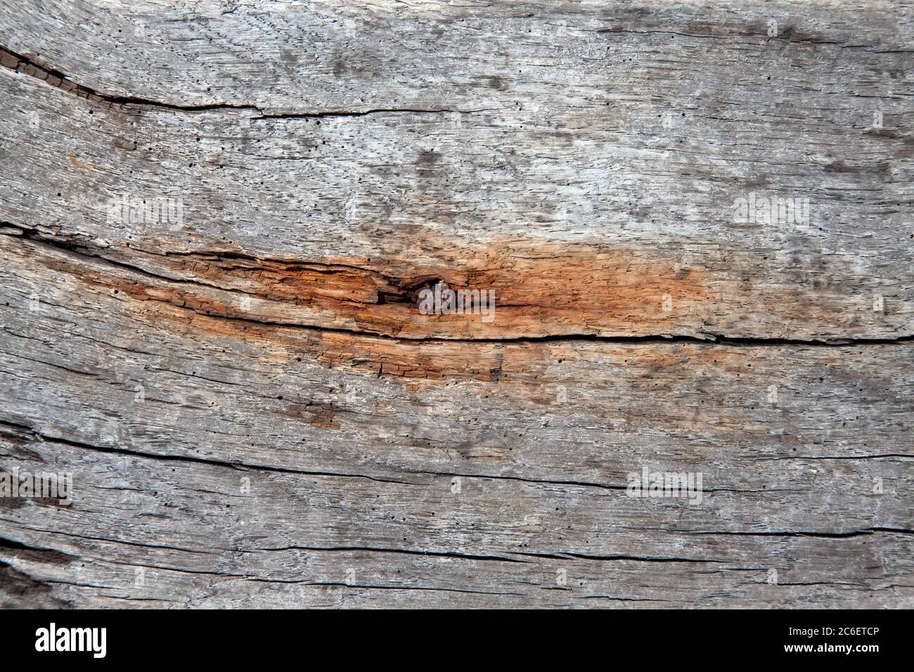 Driftwood texture hi-res stock photography and images - Alamy