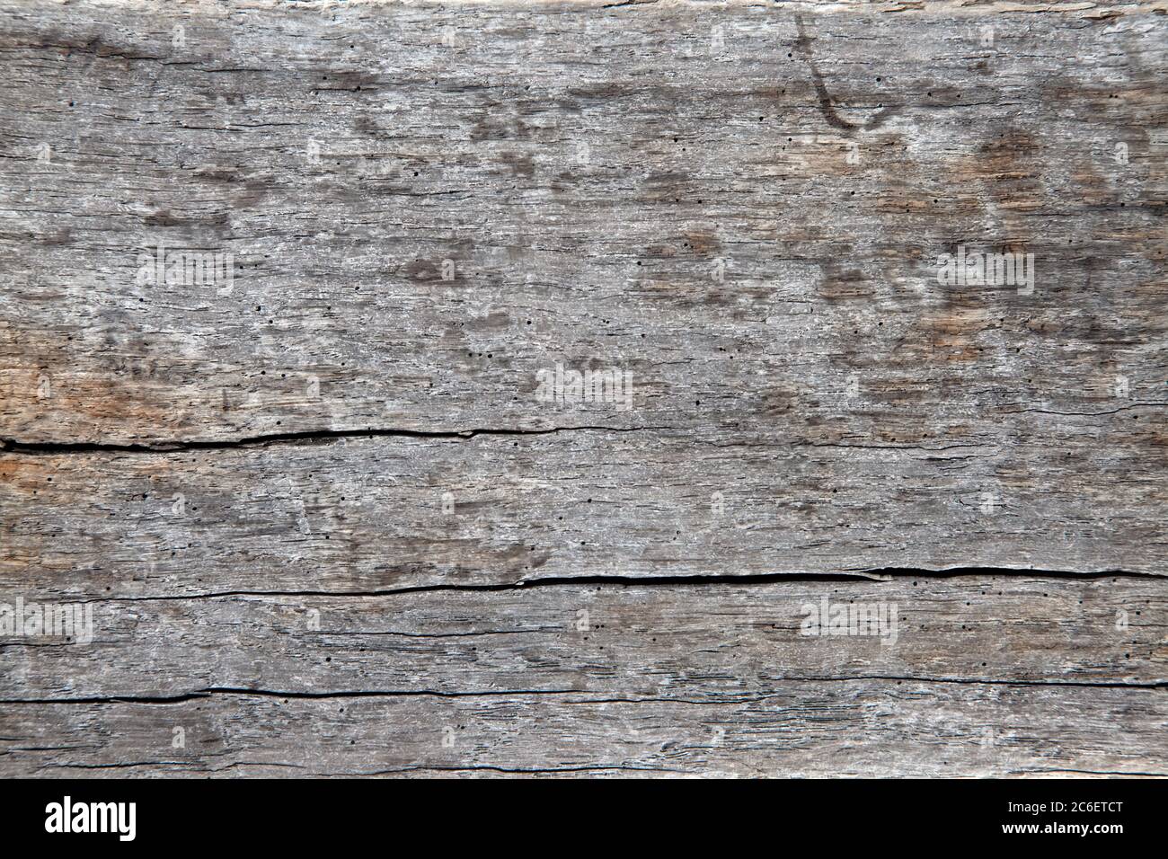 Driftwood Texture