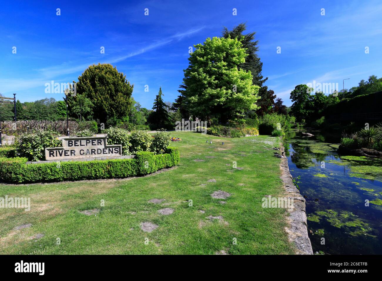 Spring view of the River Gardens, river Derwent, Belper town, Amber ...