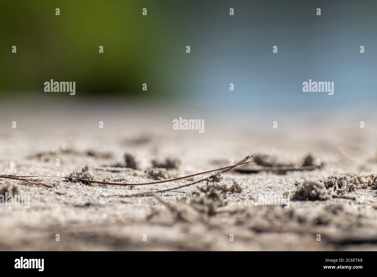 Sand super macro by the river, highly blurred sandy background. Natural ...