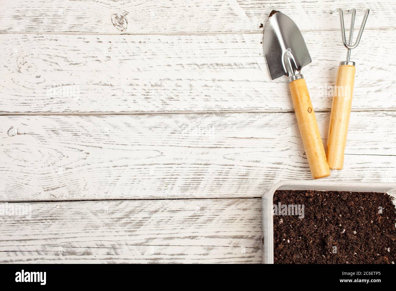 Beautiful little metal shovel, rake, container with fertile brown earth ...